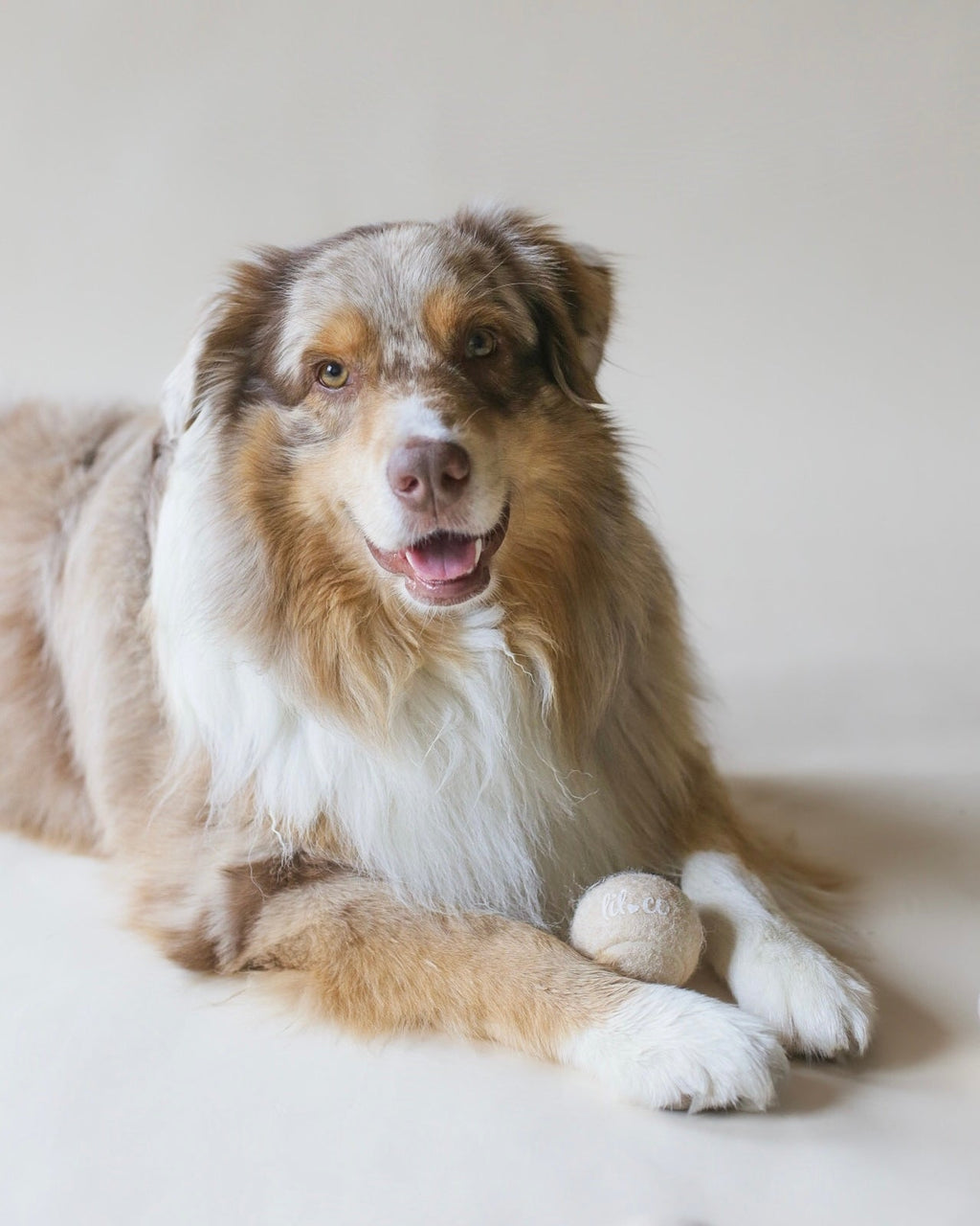 Untitled Jun6_19:52 – Lilco